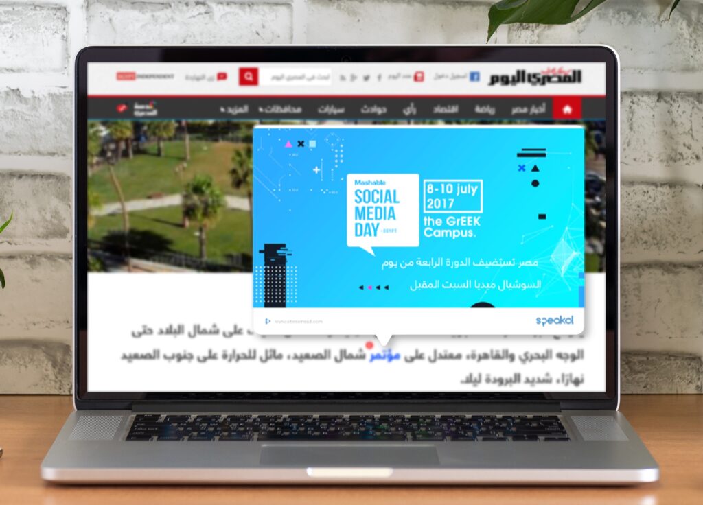 What Types of Advertisements Do We Provide? - Speakol